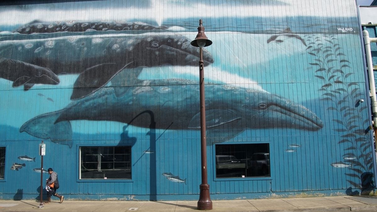 Beneath the Surface: The Enthralling Tale of Marine Ecosystem ...