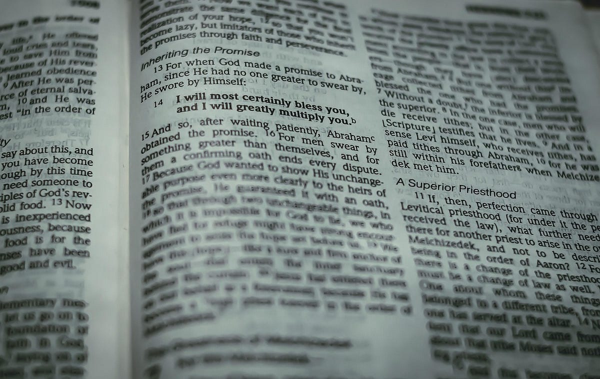 2 Kings 3–4: Instructions, Oil, and the Power of Unity | by ...