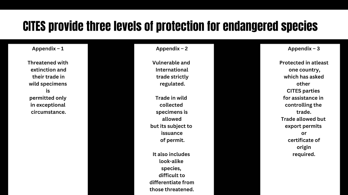 How does CITES regulate the wildlife trade? | by Think Wildlife ...