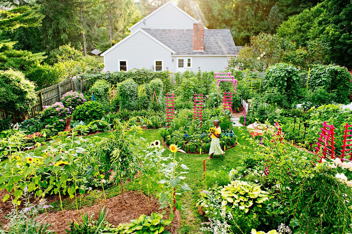 Permaculture: A Savior to Africa and the Third -World Countries. | by Obinna Kizito | Medium
