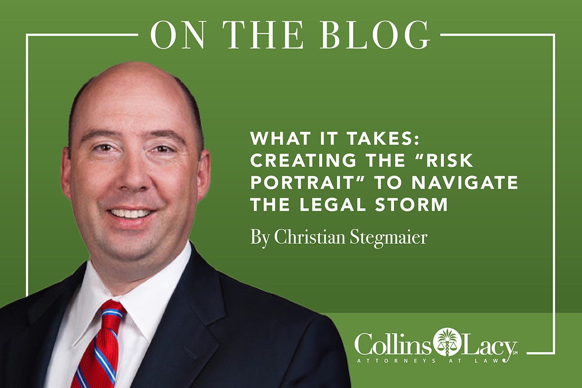 What It Takes: Creating The “Risk Portrait” to Navigate the Legal Storm ...