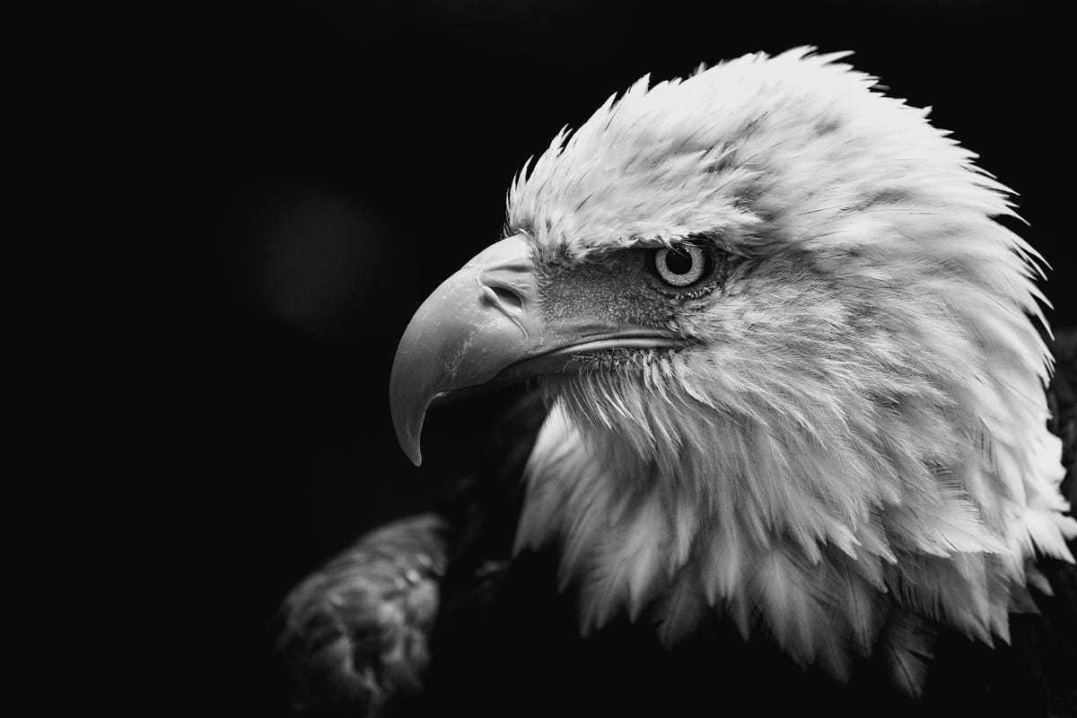Symbols | The Meaning Of Double-Headed Eagle | ILLUMINATION
