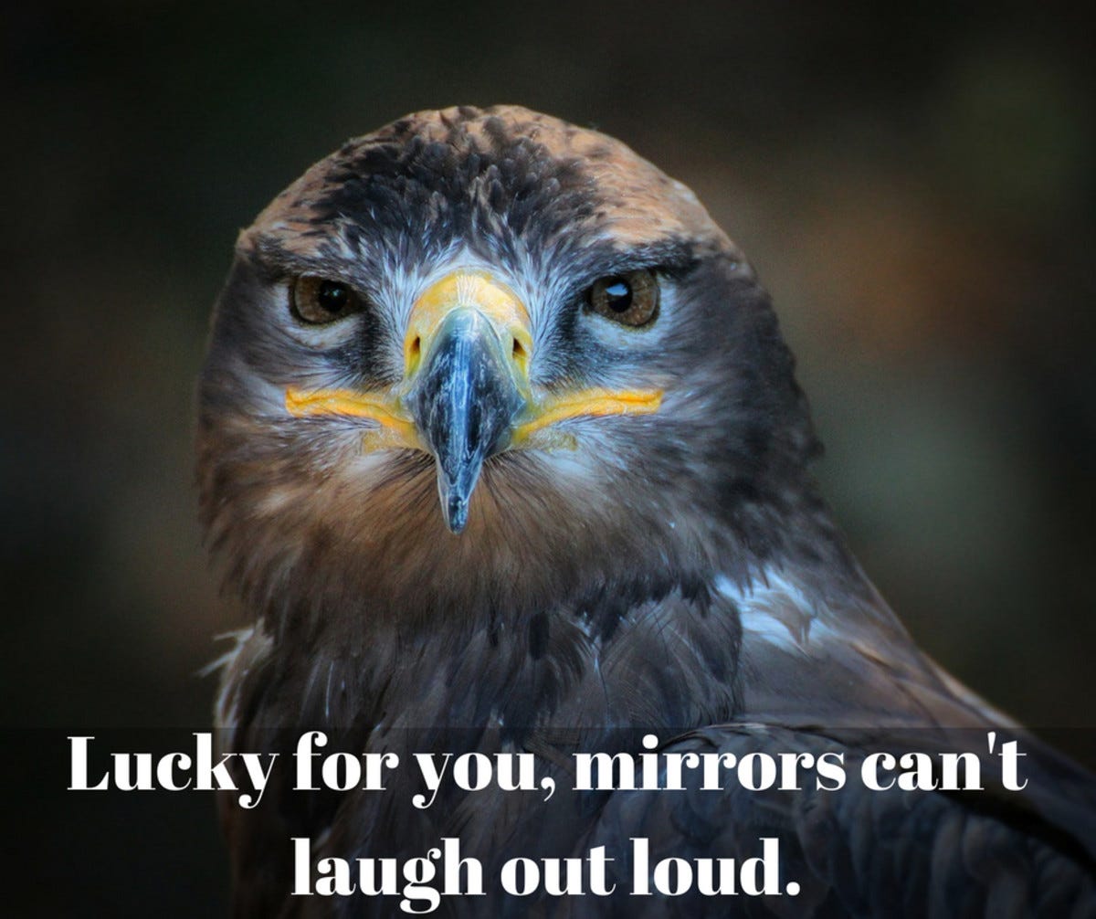 Funny Facebook Cover Photos: Hilarious Images That Will Make You Laugh ...
