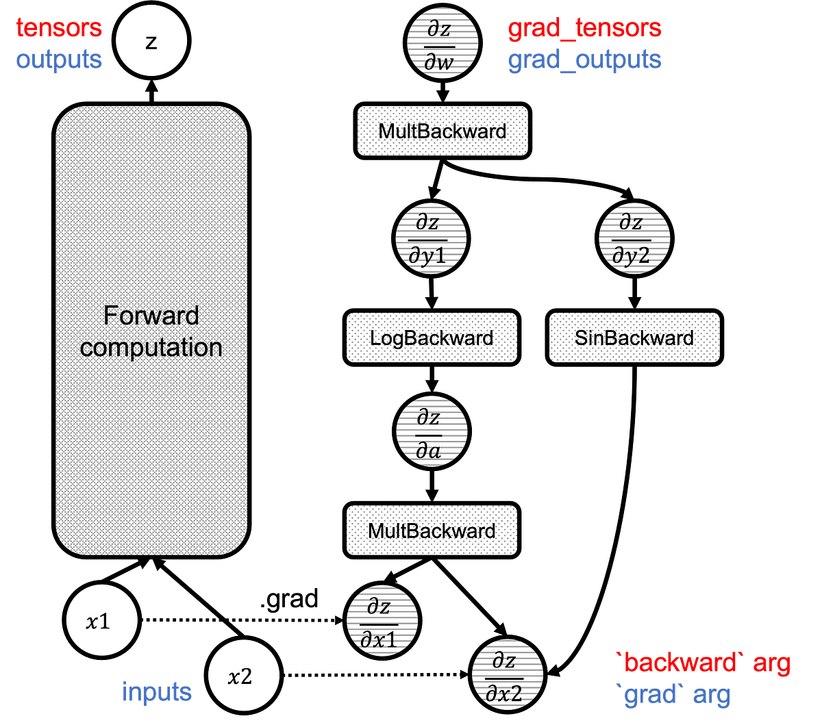 PyTorch Autograd: Automatic Differentiation Explained | by Alok ...