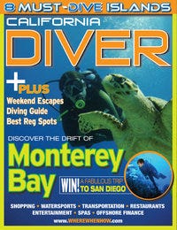 California Diver Magazine: Coming Soon…. | by Michael Bear | Rapture of ...