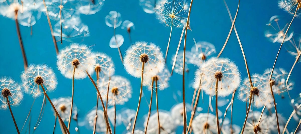 How to Unlock The Magic of Seeds. Let’s explore the magic of seeds ...