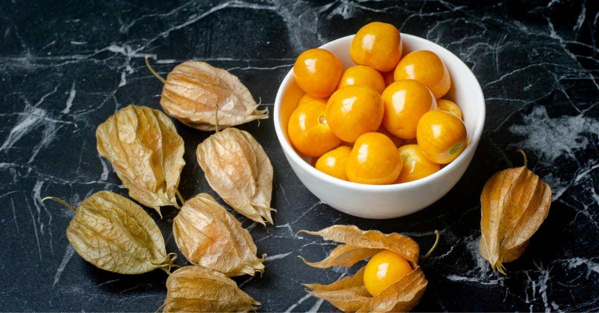 Superfruit Power: Unveiling the Golden Berries Secret to Daily Vitality ...