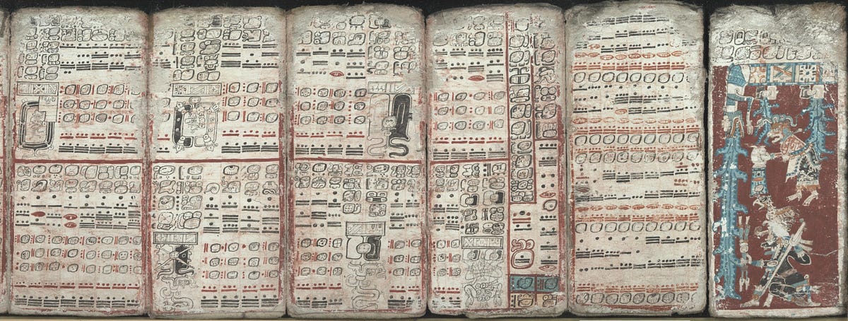 CODEX VITAE 2020 — AM. I’ve came across the Codex Vitae of… | by Arthur ...