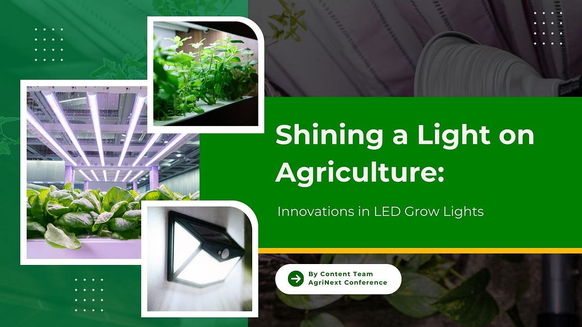 Shining a Light on Agriculture: Innovations in LED Grow Lights | by ...