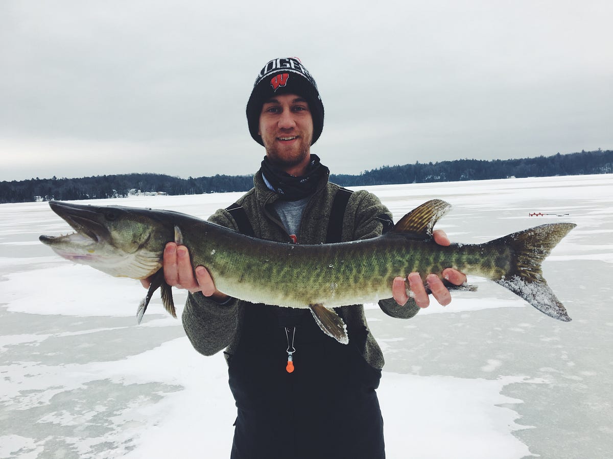 Great Lakes Restoration Initiative (GLRI) Budget Elimination | by Kate ...