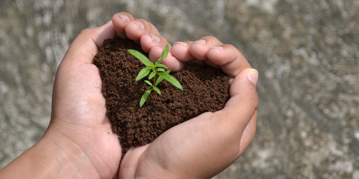 Unearthing the Secrets Beneath Our Feet: Harnessing the Power of Soil ...