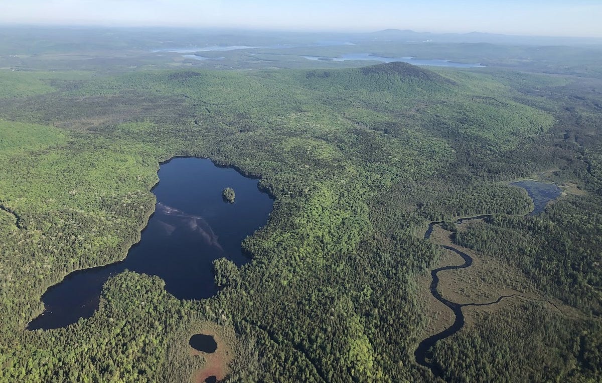 Accelerating Conservation with Machine Learning: AIDE’s Role in ...