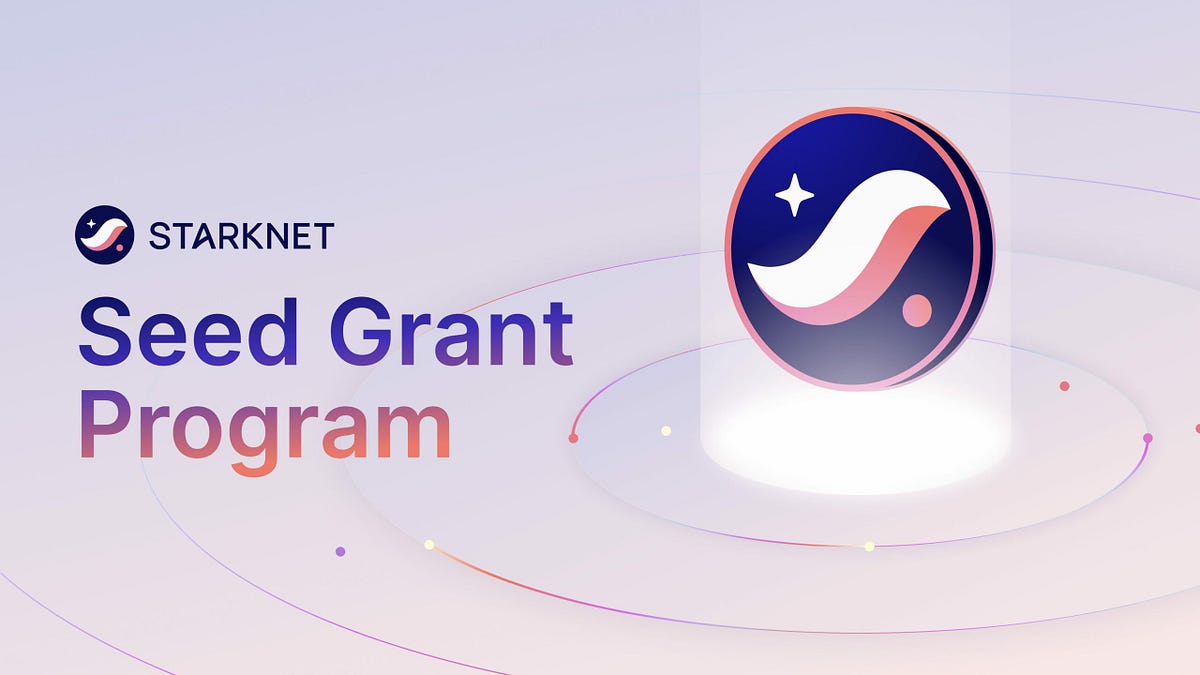 Announcing the Seed Grant Program | by Esther Oche | Oct, 2024 | Medium