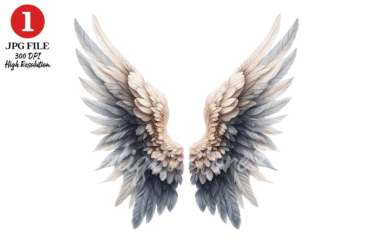 Angel Wings JPG Sublimation Design | by Andytest | May, 2024 | Medium