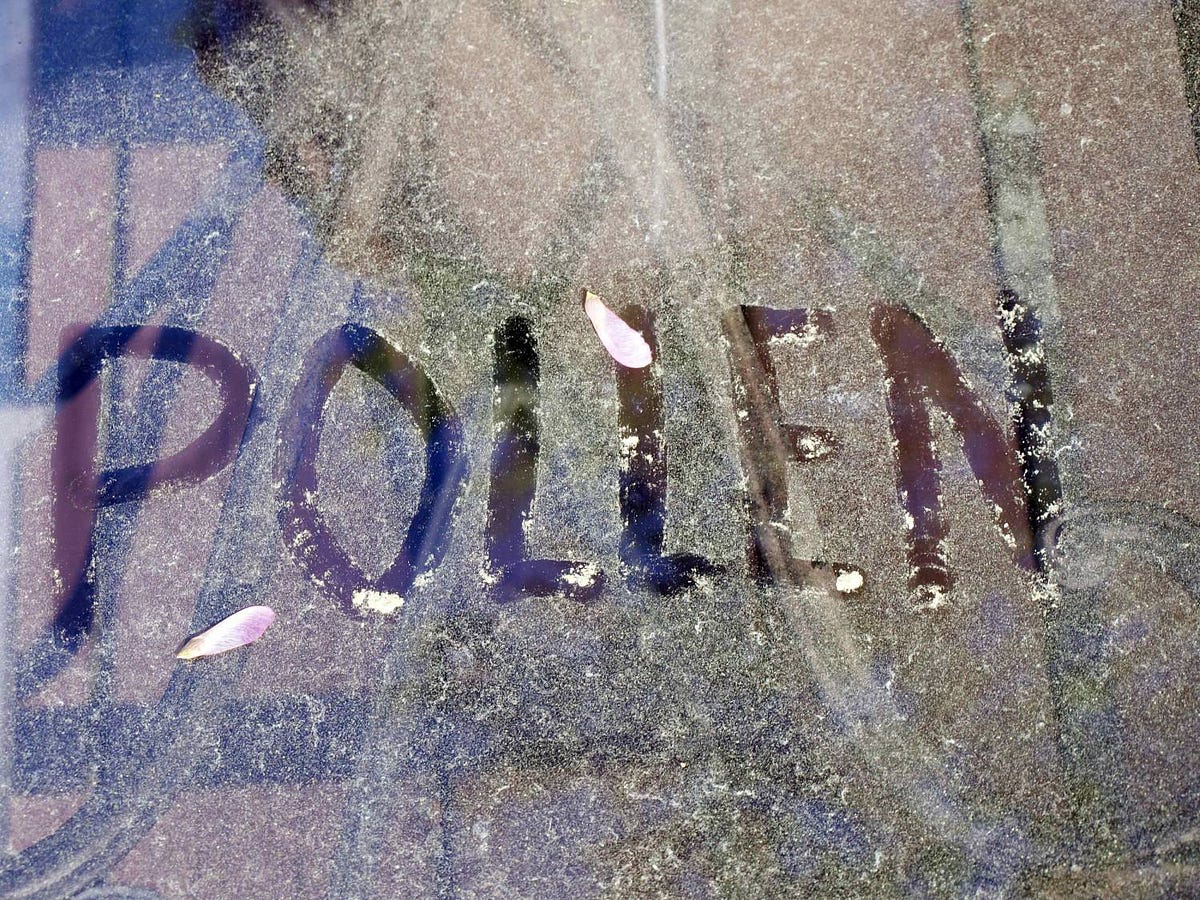 Cleaning/Handling Pollen While Painting | by Southern Perfection ...