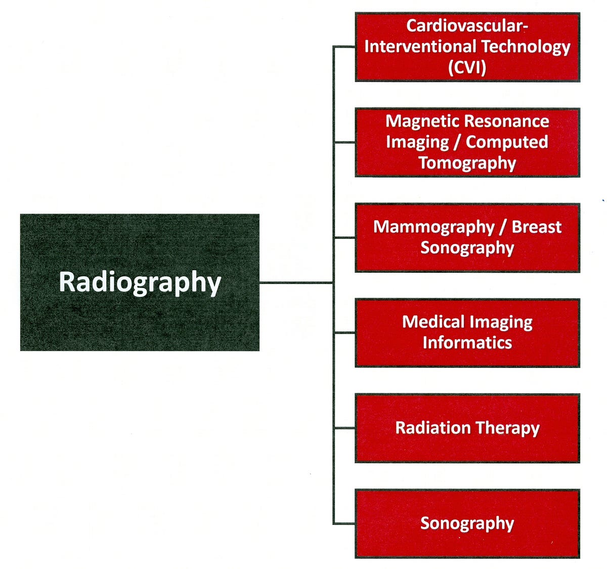 Radiology Prerequisites: Essential Steps for Aspiring Radiologists | by ...