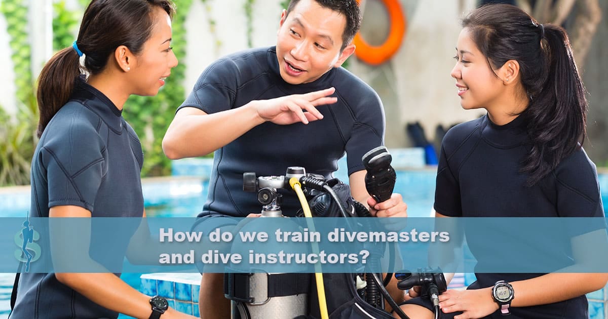 Strategy: Redefining The Way We Promote & Teach Scuba Diving | by Darcy ...