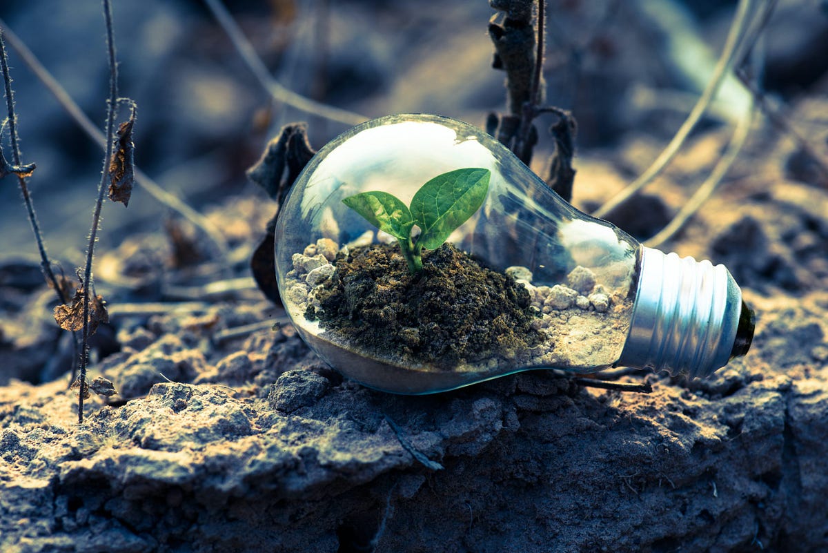 Can Regenerative Agriculture Fix the US Food System? - Financial Poise ...