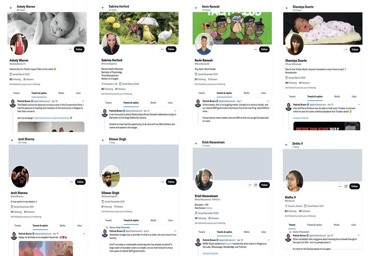 How Many Fake Twitter Accounts are There: Uncovering the Truth | by ...