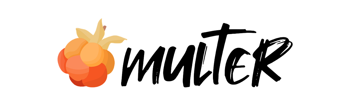 How To Handle File Uploads In React And Nodejs With Multer By Coders Stop Javascript In