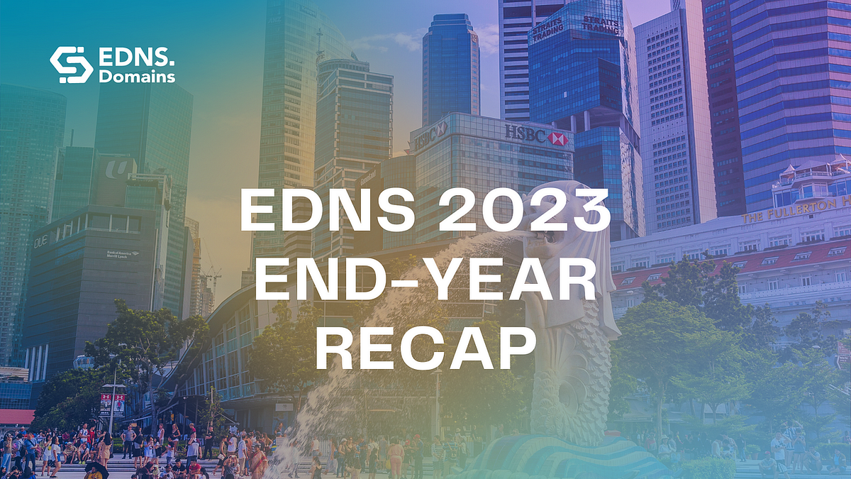 ПІДСУМОК ЗА 2023 РІК EDNS Domains | by Jakarta | Medium