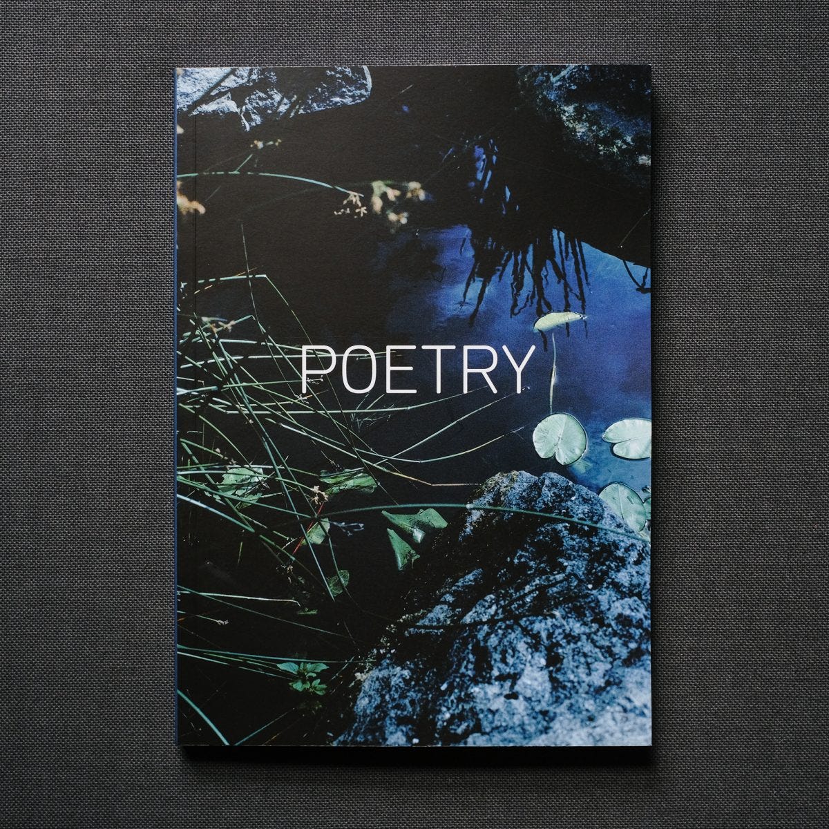 Review: Shutter Hub’s POETRY Anthology | by Reece Beckett | Counter ...