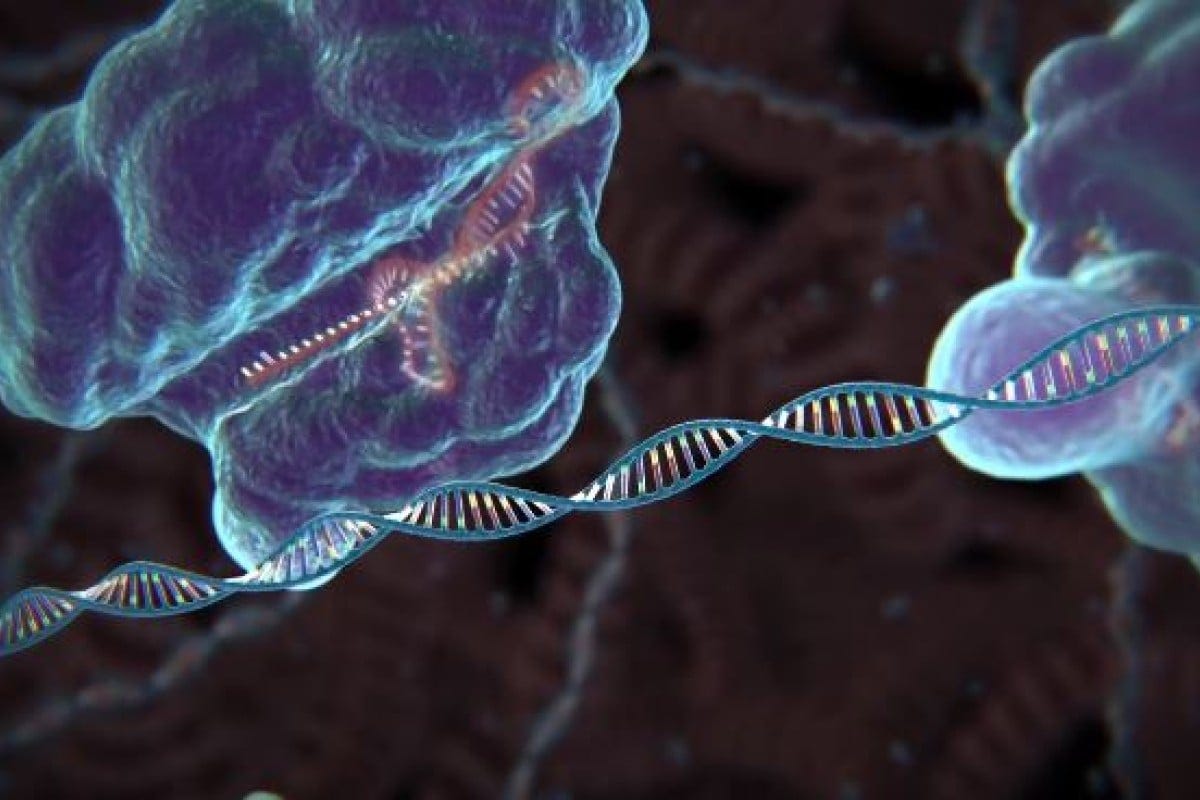 Rewriting the Code of Life: Unleashing the Power of CRISPR for ...