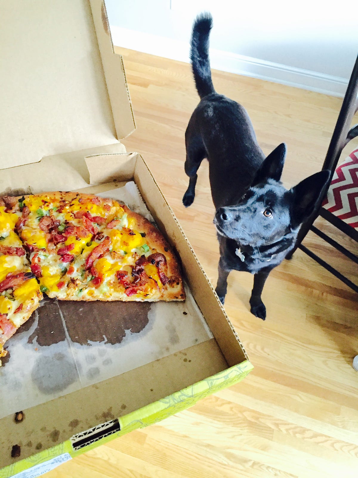 Pizza Luce Rolls Out Delicious Fall Specials | by Johansson Realty Inc ...