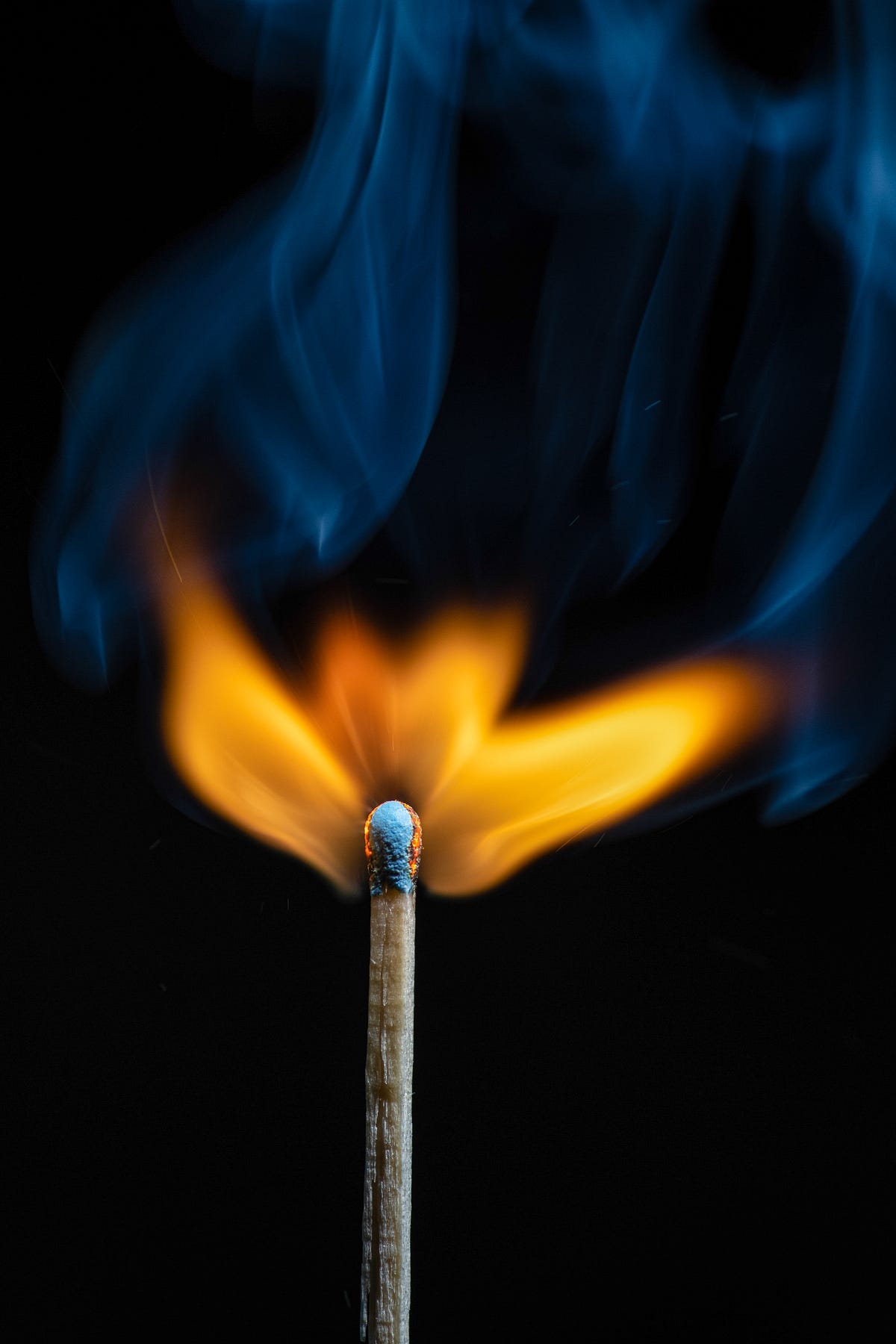 The Spark that Ignites. Years ago, I read Twyla Tharp’s book… | by ...