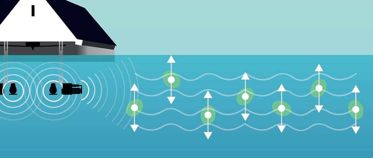 The Sound Solution: Using Ultrasonic Waves to Fight Harmful Algal ...