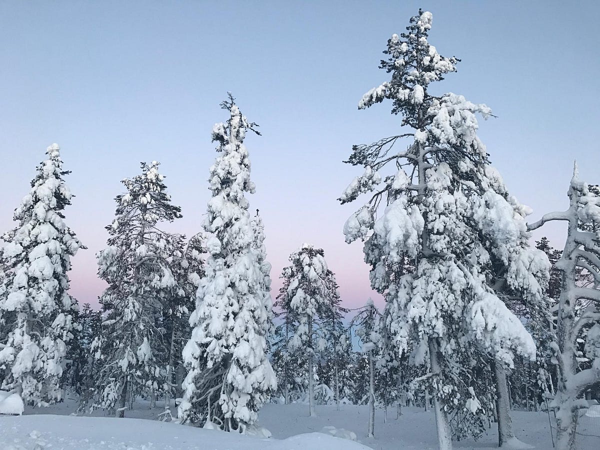 A Dream Trip to Levi, Finland | by Rachel Gault | Medium