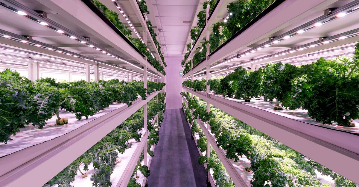 How Hydroponics Equipment Is Revolutionising Modern Agriculture? | by ...