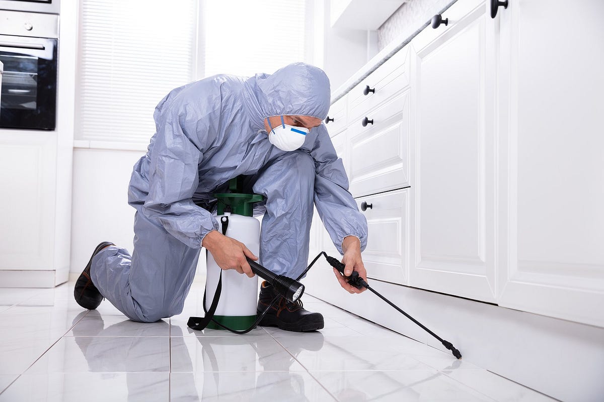 How to Properly Exterminator Remove Ticks and Fleas | by ...