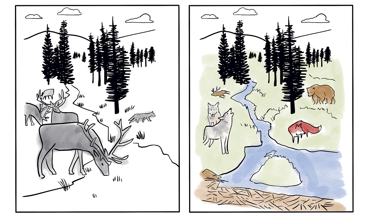 Impact Cascades & Speculative Design | by Tessa Forshaw | People Rocket ...