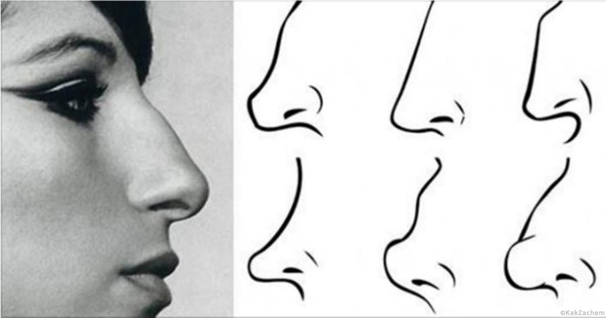 What Does Your Nose Shape Say About You - Fastest some more media - Medium