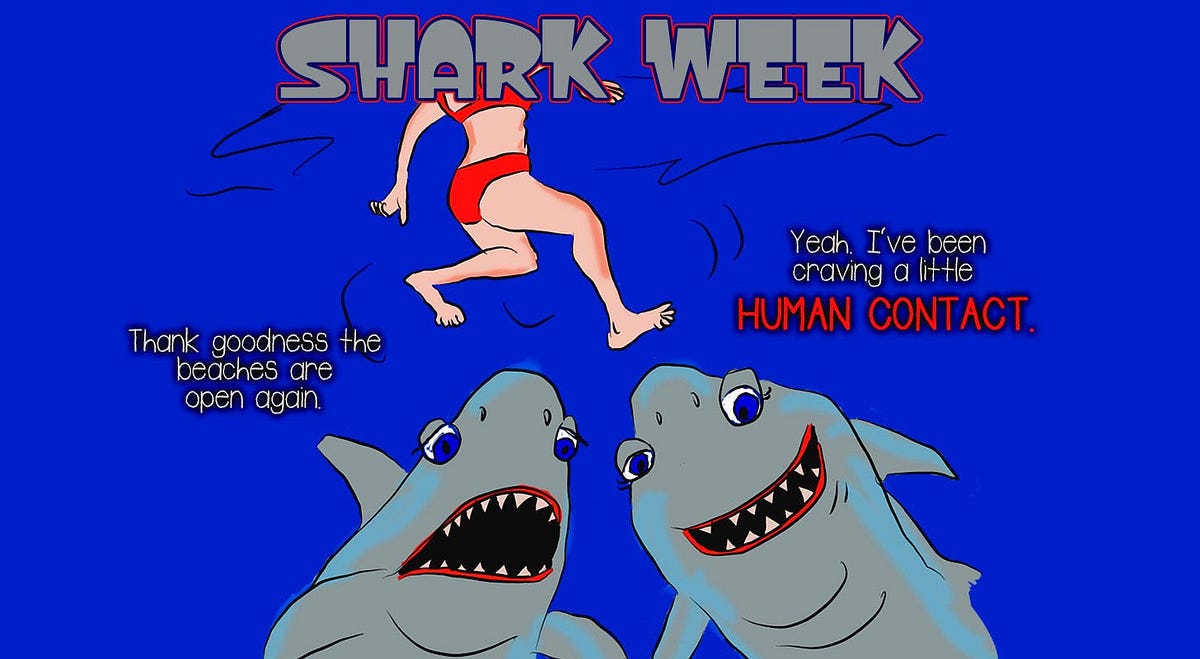 Shark Week. It’s Shark Week (July 11–18). | by Anel Ryan | Wimpy Girl ...