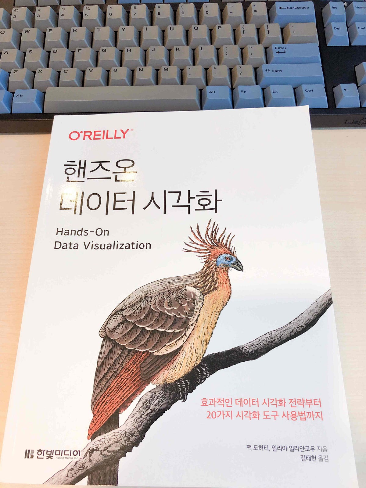 핸즈온 데이터 시각화 Hands-On Data Visualization | by Jun | Medium