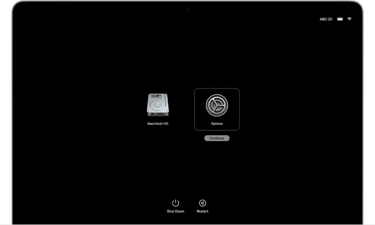 How I Enable System Extensions on Apple Silicon Macs | by Moira Taylor ...