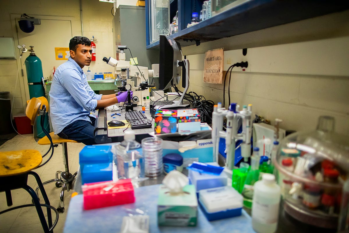 From the Classroom to the Lab and Back Again | by Penn Engineering ...