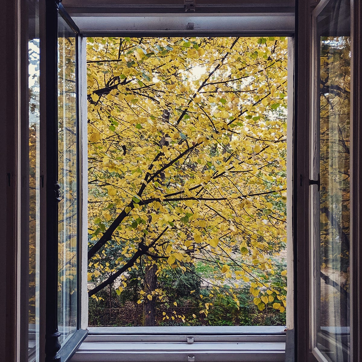 Seasons: Part I. Visions of color spun in a hazy glow… | by hils anidi ...