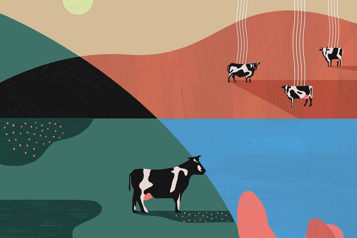 Minimizing the Mess with Methane 🐮 | by Charlie Mahoney | Medium