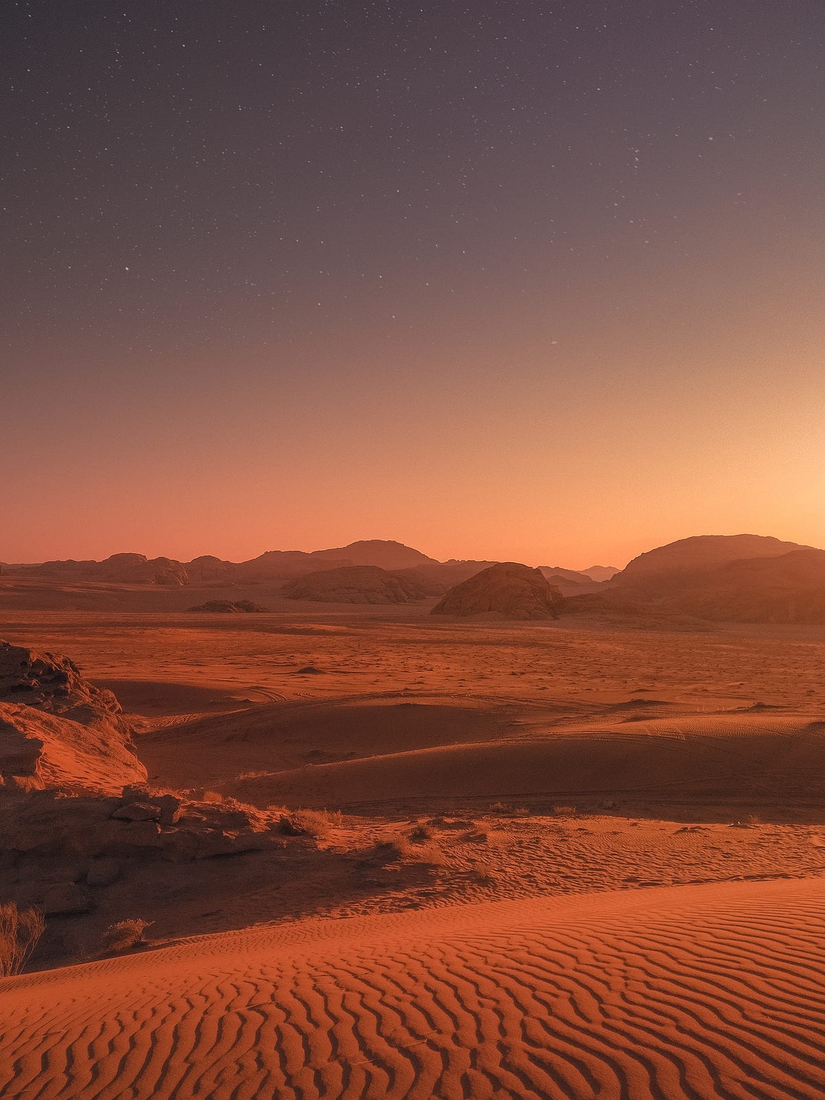Martian Trains; Roxanne Barbour; Poetry | Lifeline