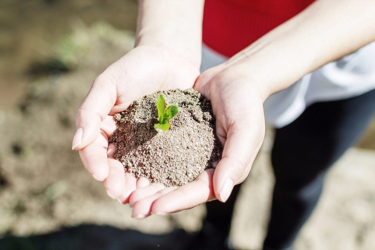 Sustain. Sustain means “to provide what is… | by Mitchy | Medium