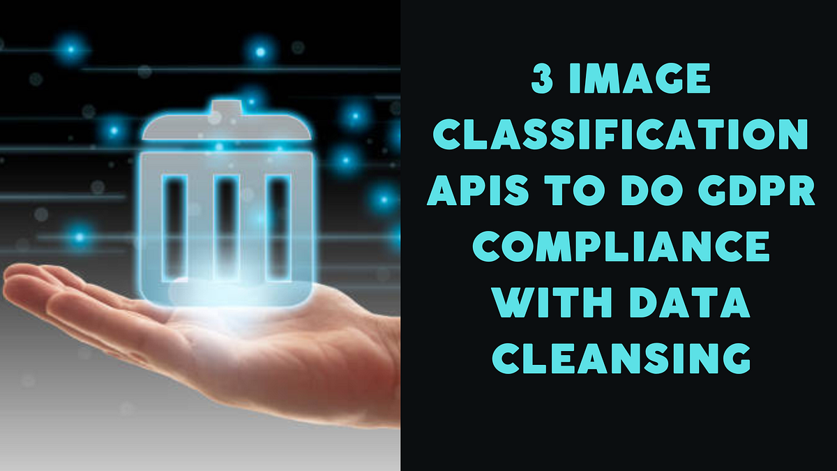 3 Image Classification APIs To Do GDPR Compliance With Data Cleansing | by TheStartupFounder.com ...
