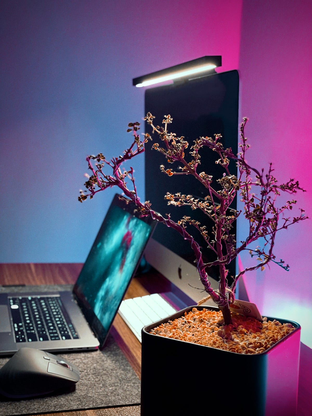 From Inspiration to Implementation: Figma is Your One-Stop Shop for ...