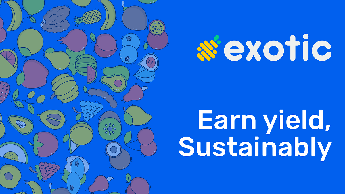Introduction to Exotic Markets: Transforming Decentralized Finance | by ...