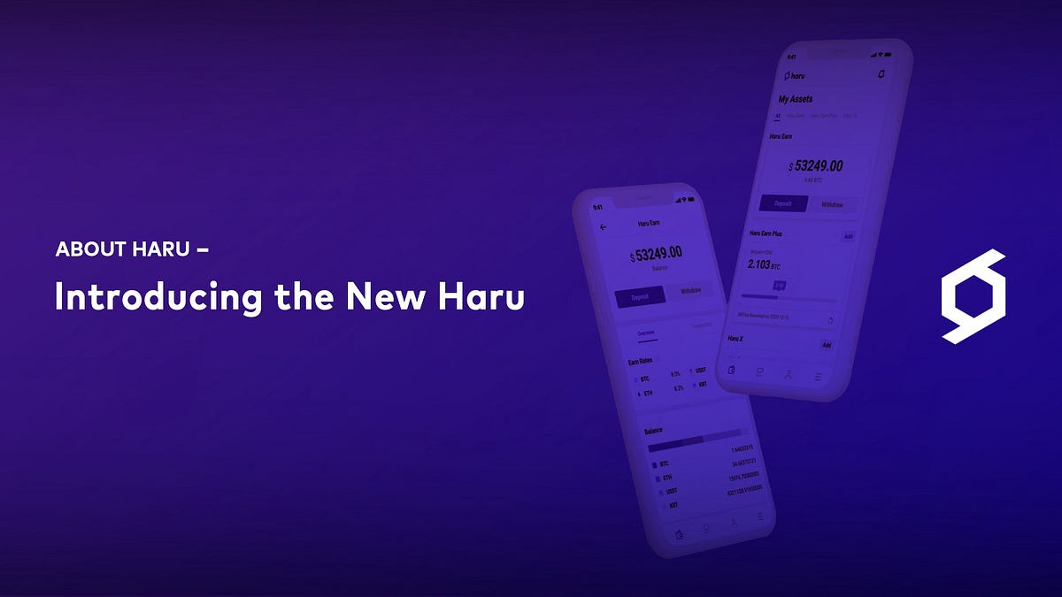 Introducing the New Haru!. We are proud to announce Haru, a… | by Hayun Choi | Block Crafters ...