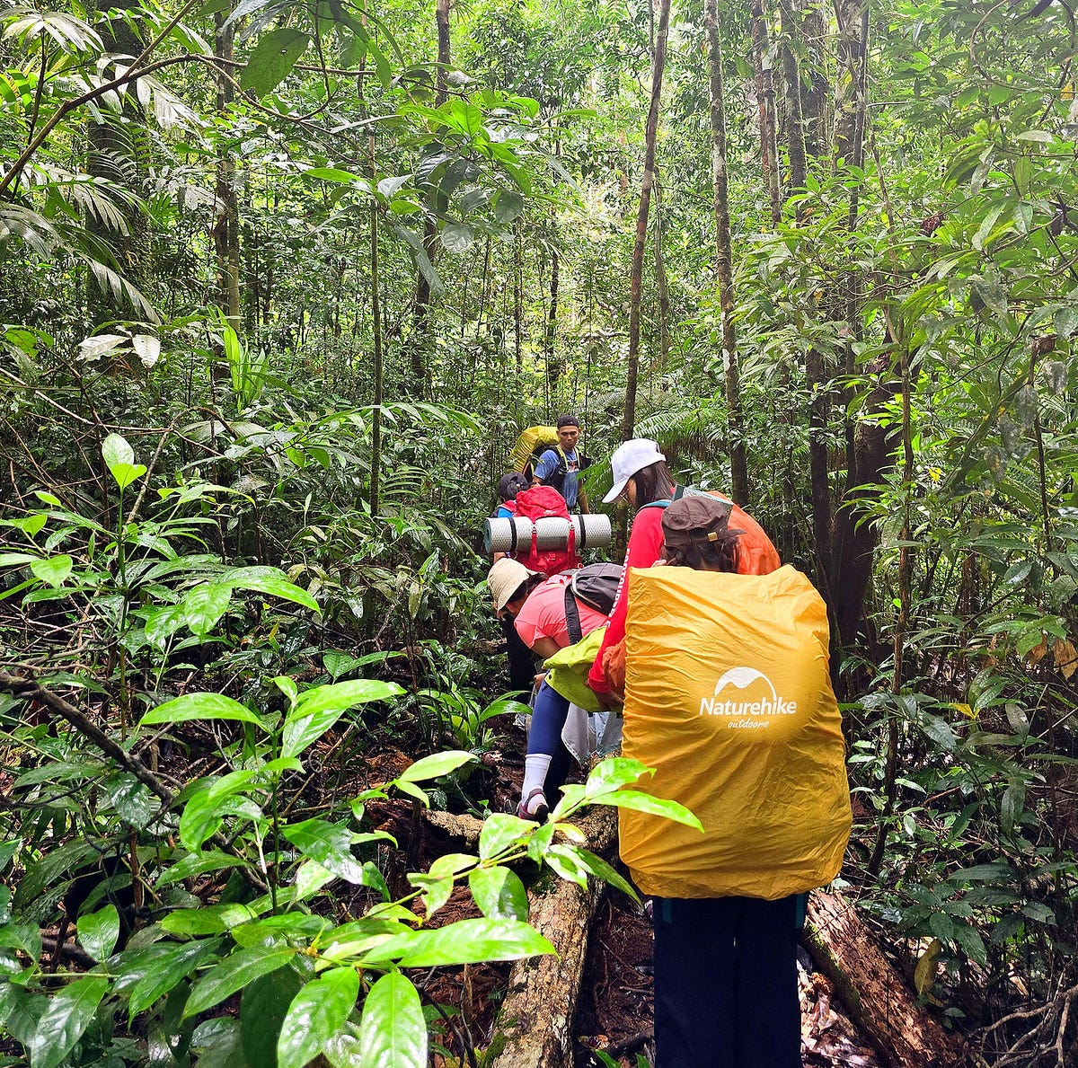 Understanding the Comfort, Stretch , and Panic Zone in the Outdoor | by ...