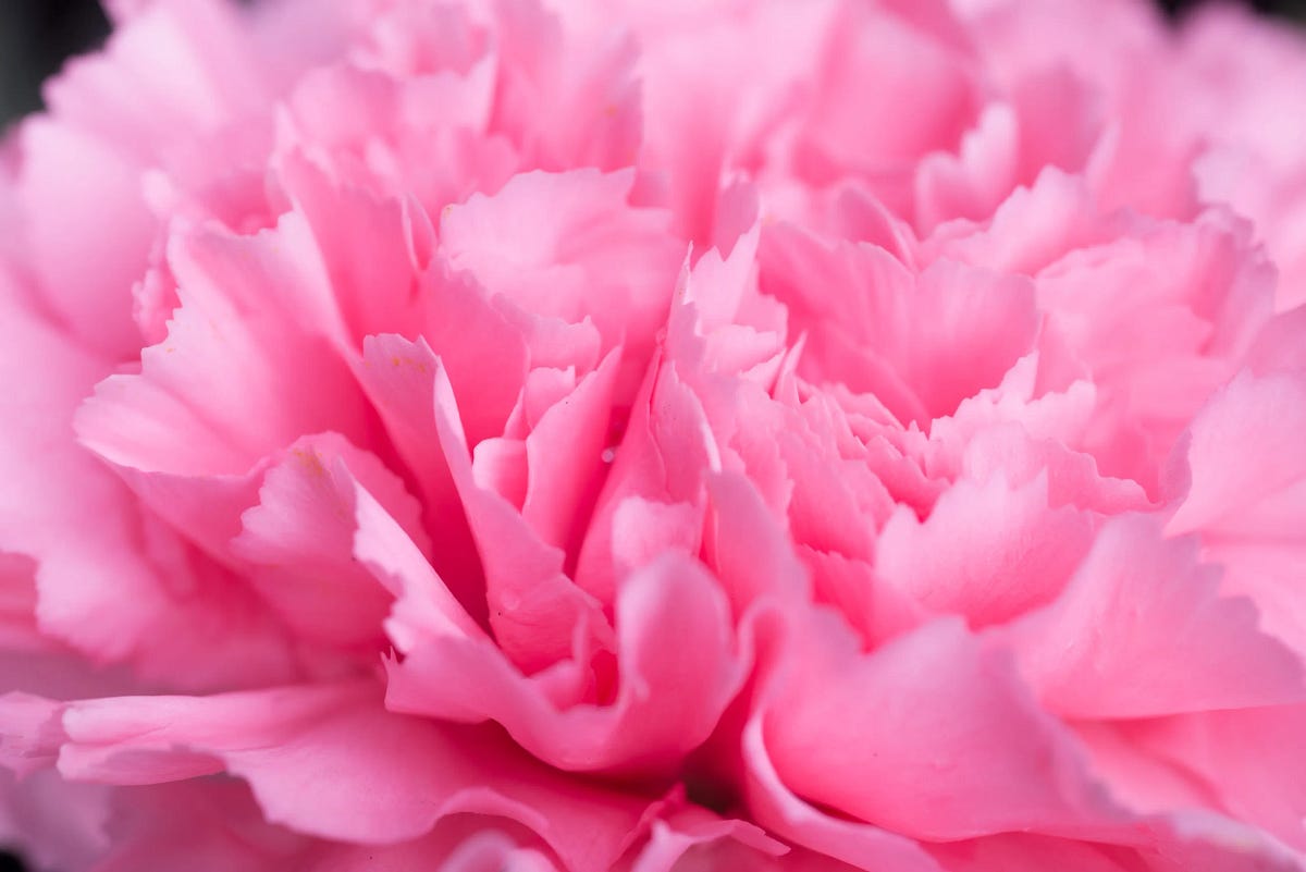 How To Write Data From Excel File Into A Hashmap Using Java And Apache 5186