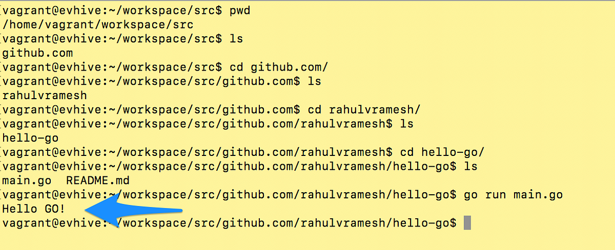 Using Vagrant for GoLang Development with Ubuntu | by Rahul V Ramesh | Medium